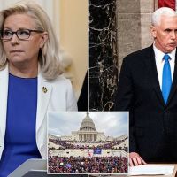 Cheney releases bill to STOP Trump from 'corrupting' electoral ...