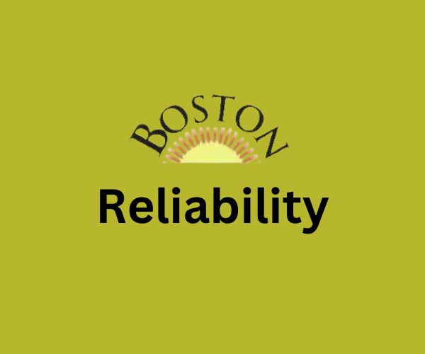 Is The Boston Sun Reliable?